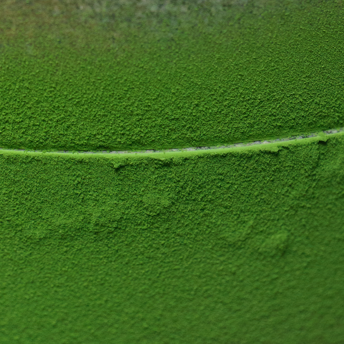 ORGANIC MATCHA POWDER 20g – The Matcha Club
